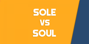 Sole vs. Soul – How to Use Each Correctly - Queens, NY English Society